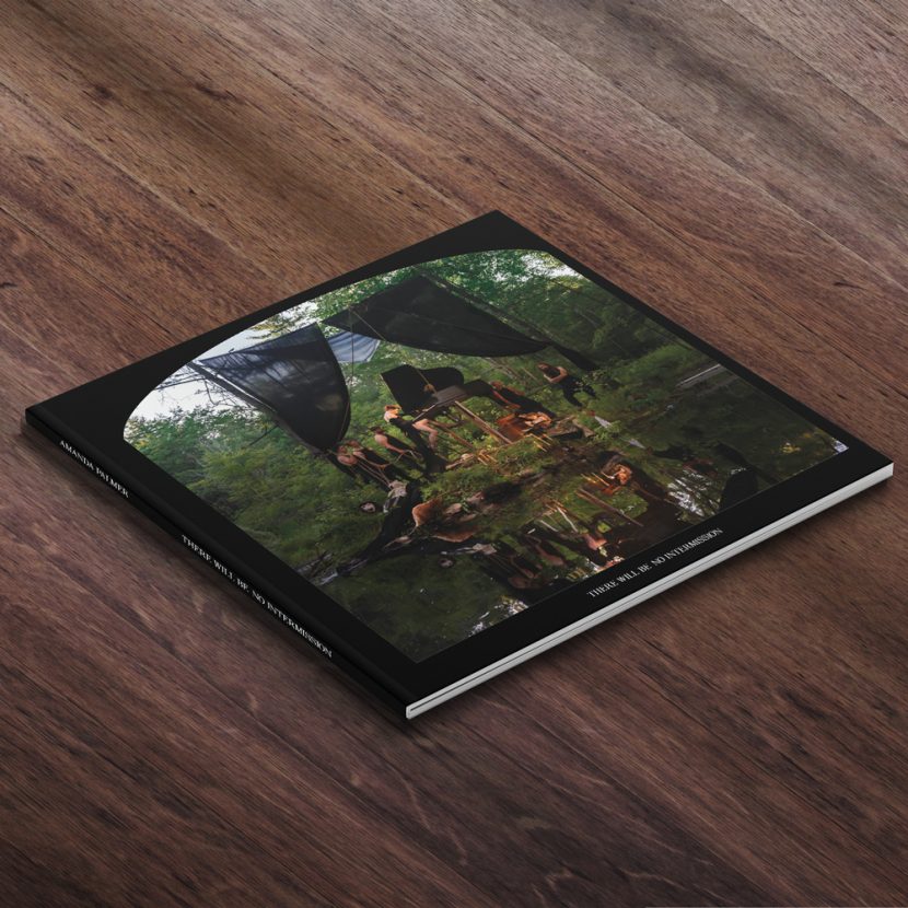 Home - Amanda Palmer